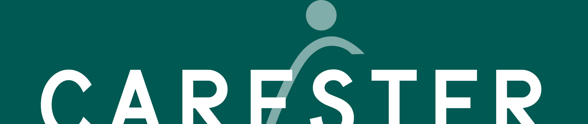 Our services - Carester