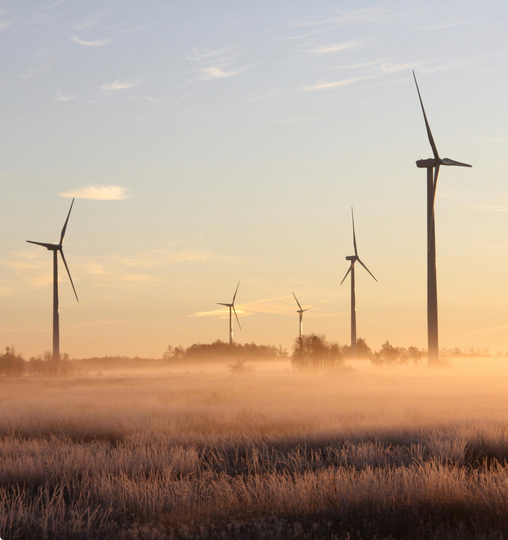 Carester - Your partner of choice for rare-earth processing